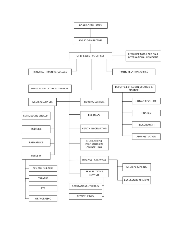 Dreamland Organogram | PDF