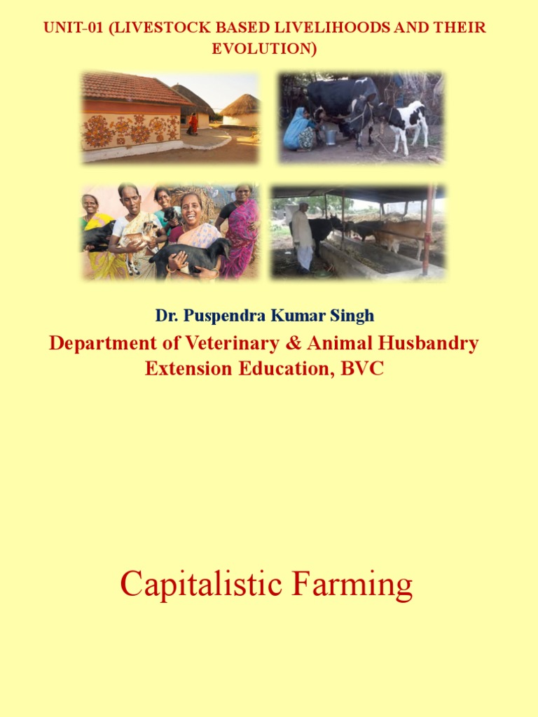 Capitalistic Farming | PDF | Capitalism | Labour Economics