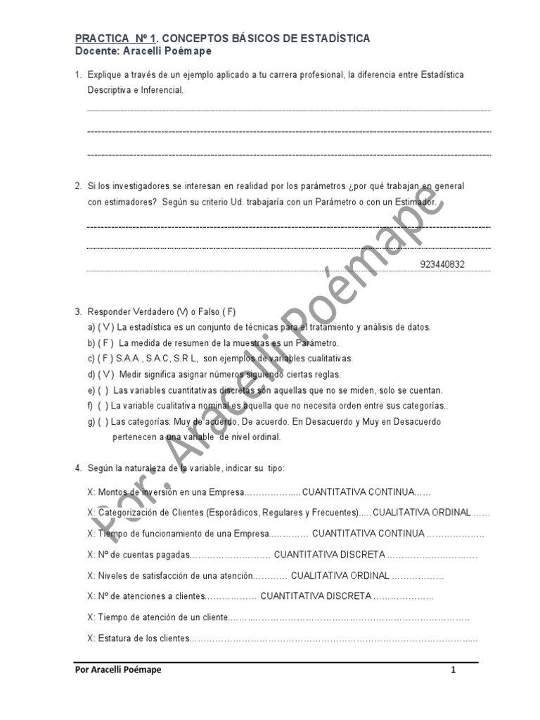 P1 Práctica de Conceptos Básicos | PDF | Estadísticas