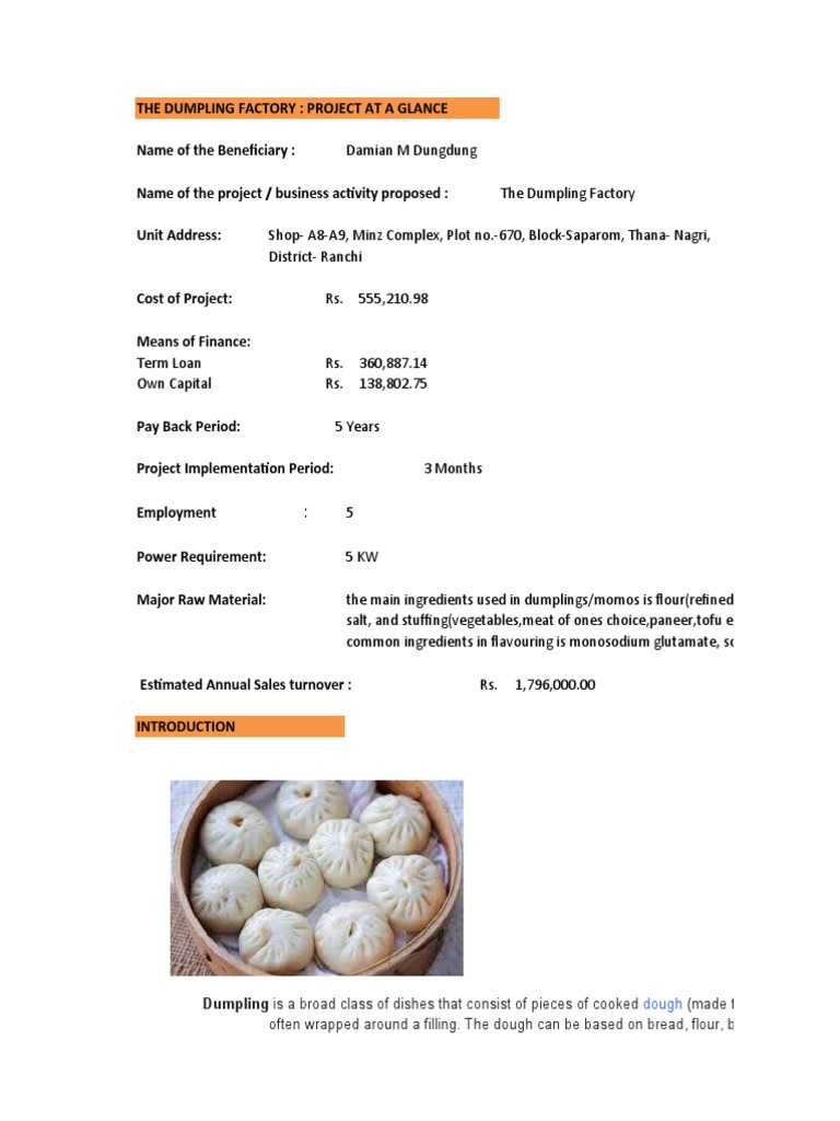 Project Report Dumpling Factory | PDF
