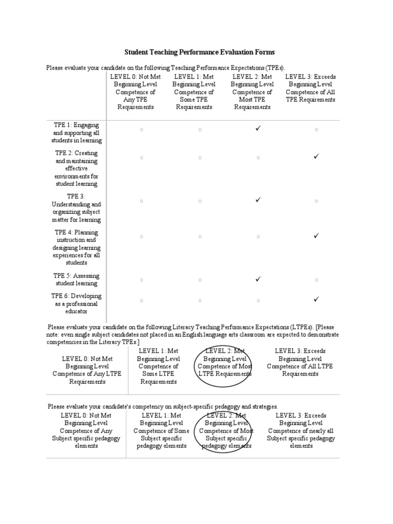 Perla Midterm Progress Check | PDF