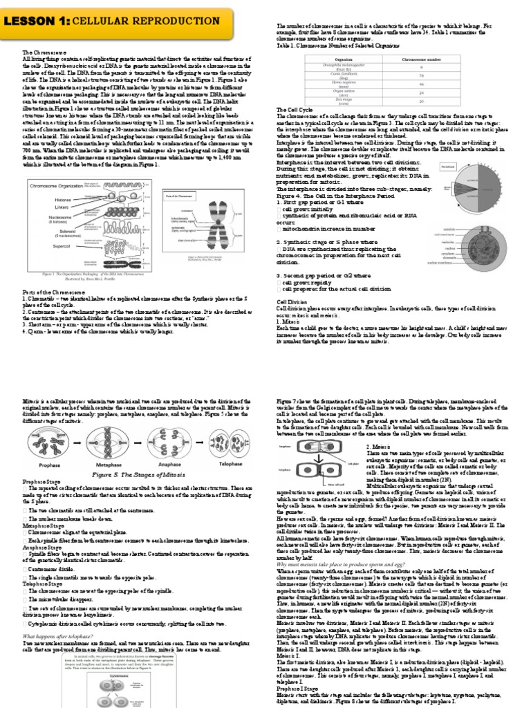 Cellular Reproduction Soft | PDF