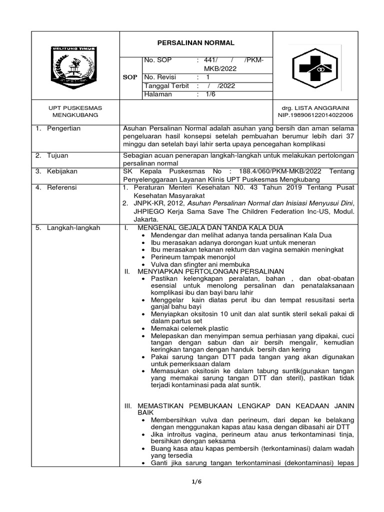 Persalinan Normal | PDF