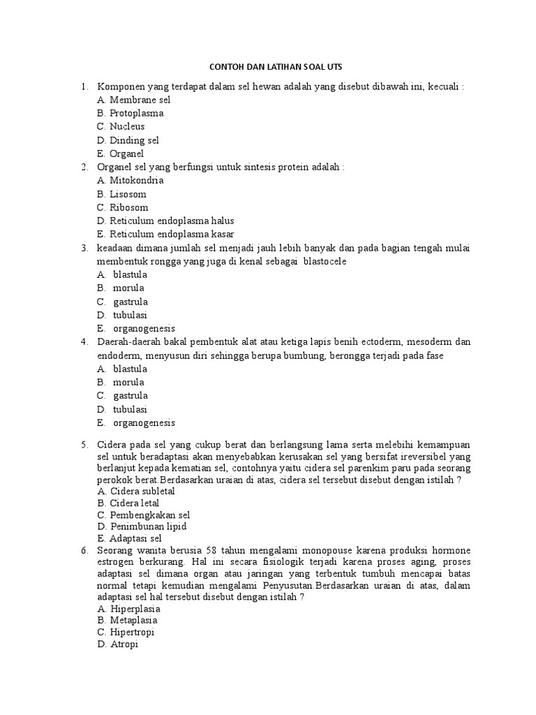 Contoh Dan Latihan Soal Uts Idk | PDF