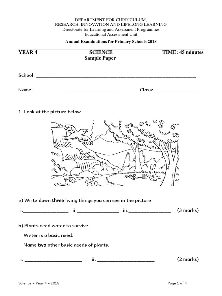 Year 4 Science Sample Paper 2018 | PDF | Planets | Wound