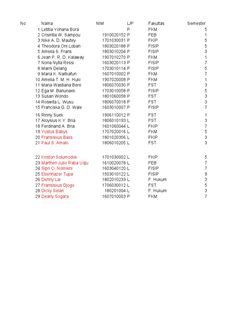 Form Peserta Tim 1 (Excel) | PDF