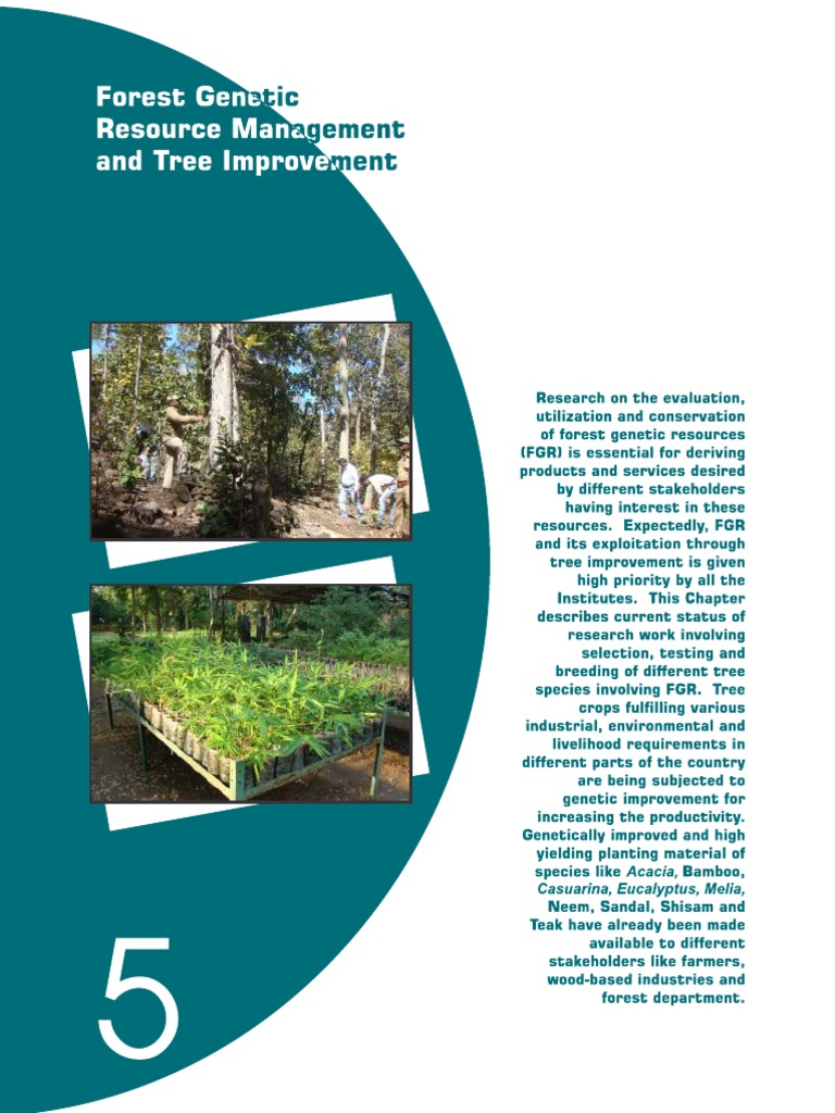 Forest Genetic | PDF Forest Genetic | PDF