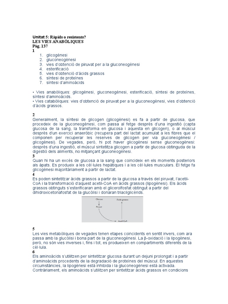 SOLUCIONARI - Activitats Metabolisme Llibre de Text | PDF