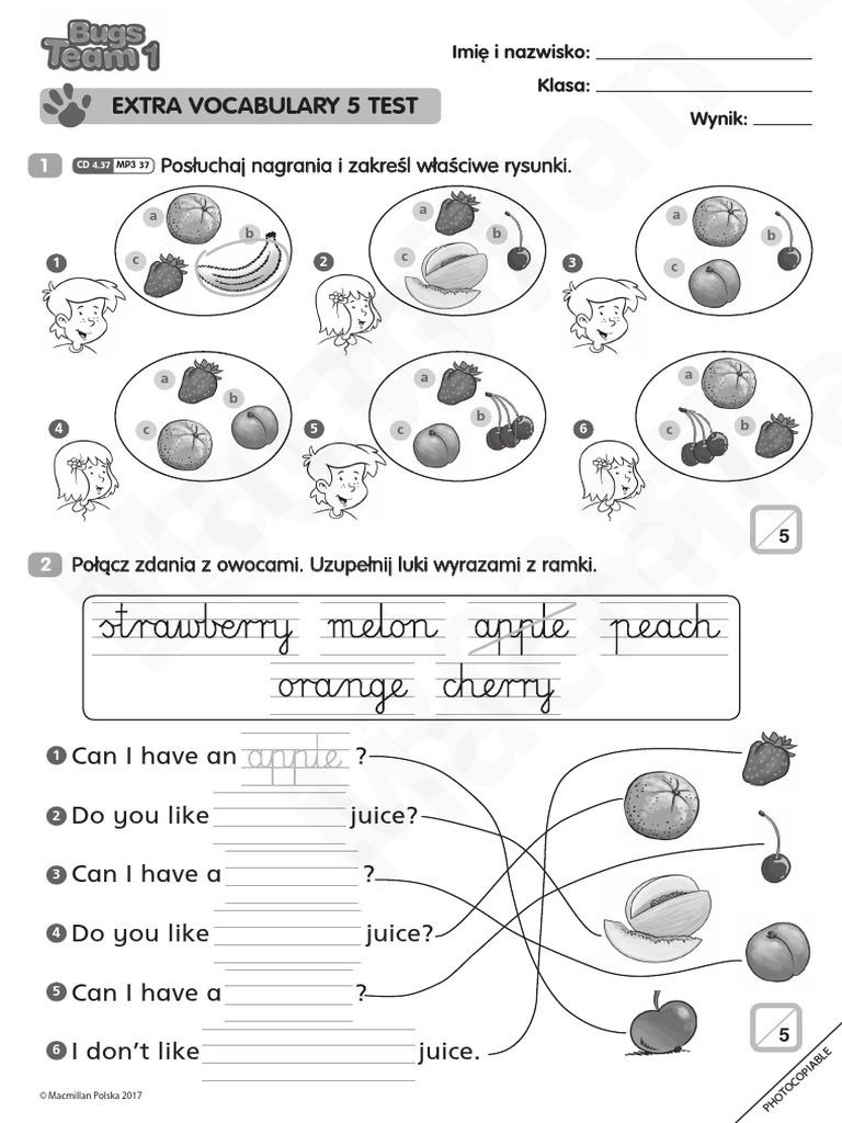 Extra Vocabulary Unit 5 Test Bugs Team 1 | PDF