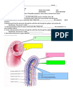 Digestive System MCQS (GRADE 7) | PDF | Digestion | Small Intestine
