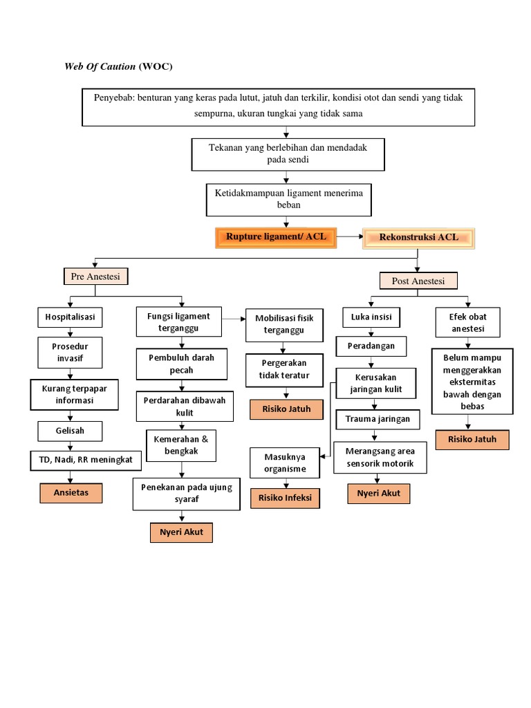 Risiko Jatuh dalam Web of Caution | PDF