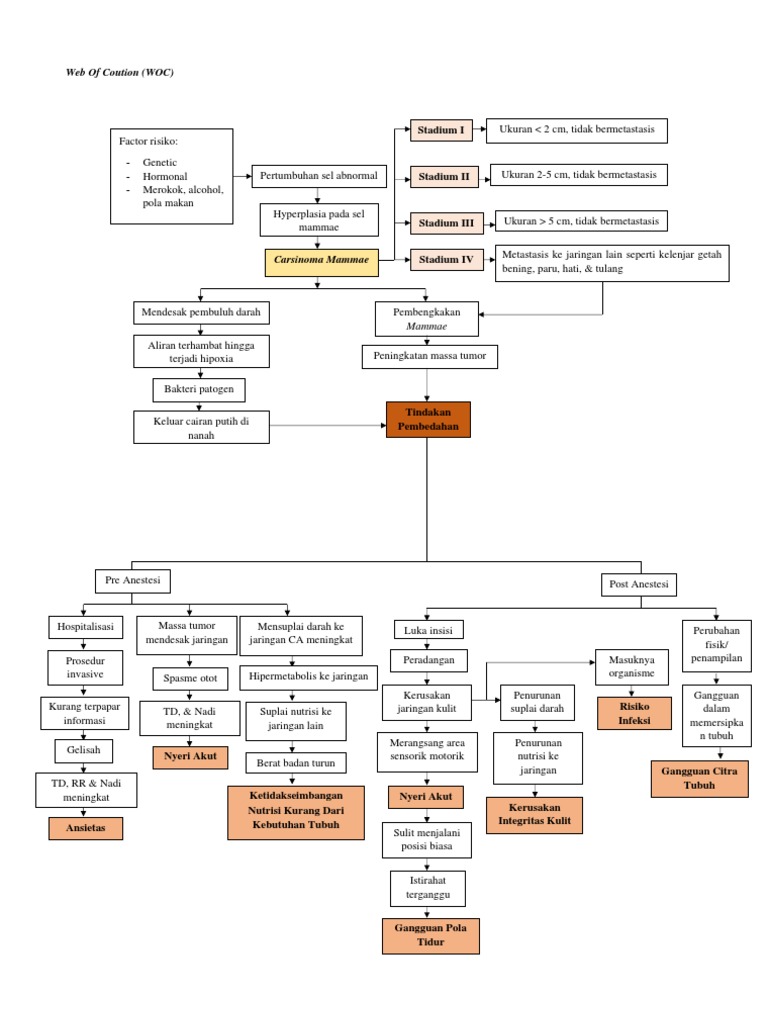 Web of Coution Mammae | PDF