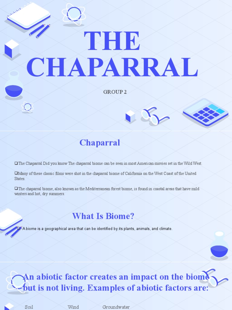 The Chaparral Group 4 | PDF | Earth Sciences | Ecology