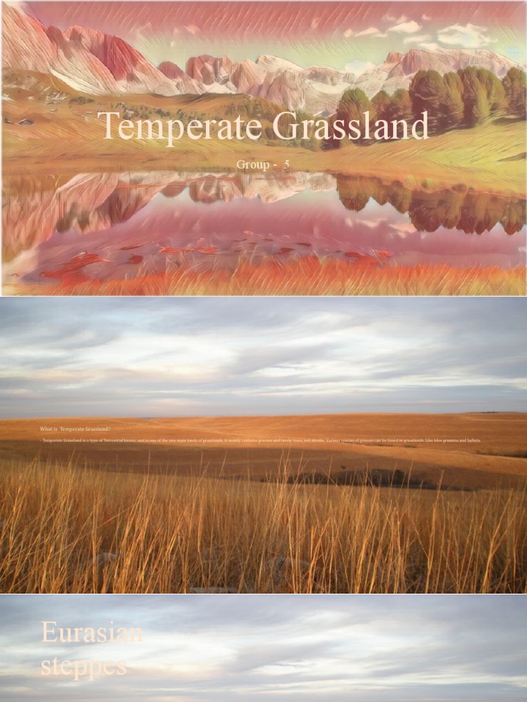 Temperate Grassland | PDF