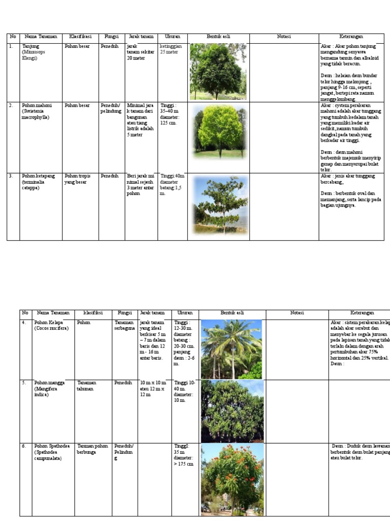 Tabel Jenis-Jenis Pohon dan Tanaman | PDF