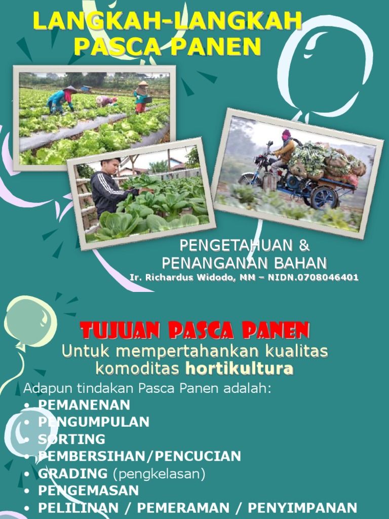 Pasca Panen PDF | PDF