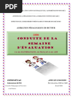 Exemple Fiche Descriptive D'activité Professionnelle | PDF