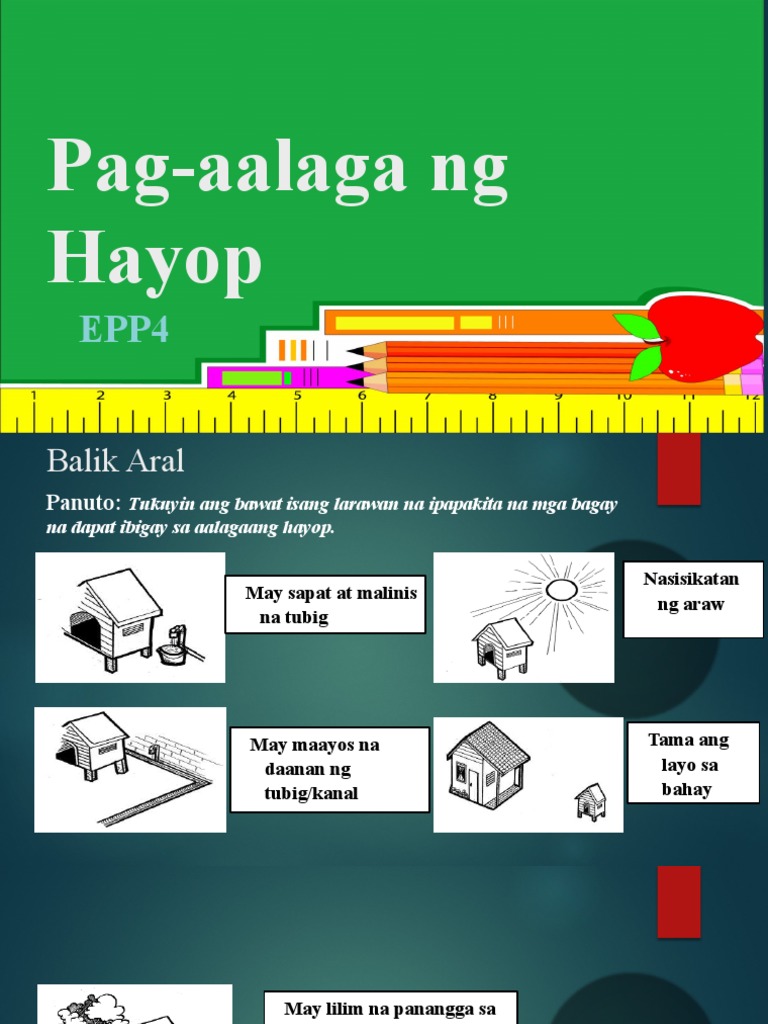 Pagaalaga NG Hayop | PDF