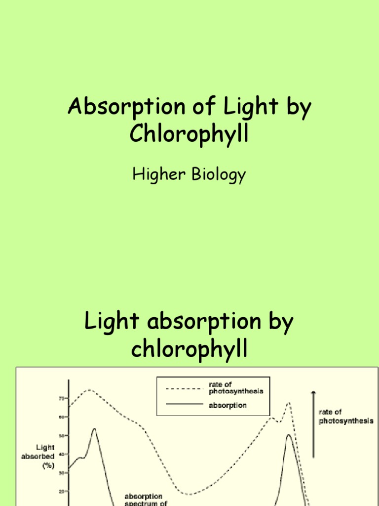 Absorption of Light by Chlorophyll | PDF