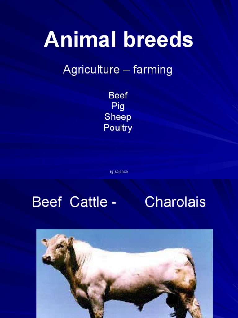 Overview of Farm Animal Breeds | PDF