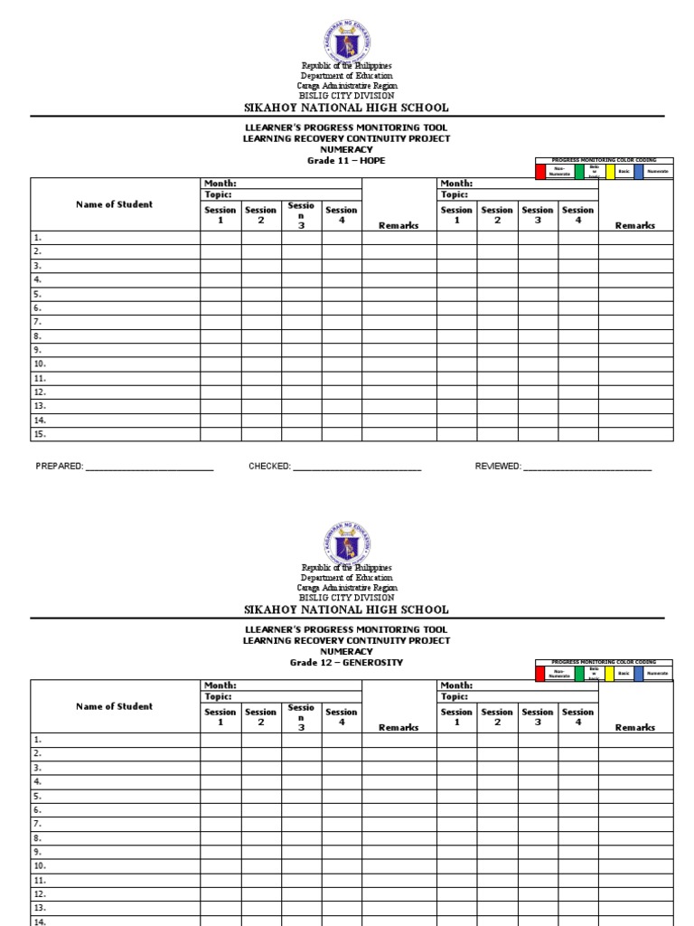 Monitoring Tool Numeracy | PDF