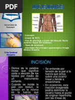 Pasos Quirúrgicos para La Cesárea Tipo Kerr | PDF | Abdomen | Seccion ...