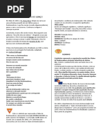 Manual Administrativo Desbravadores | PDF