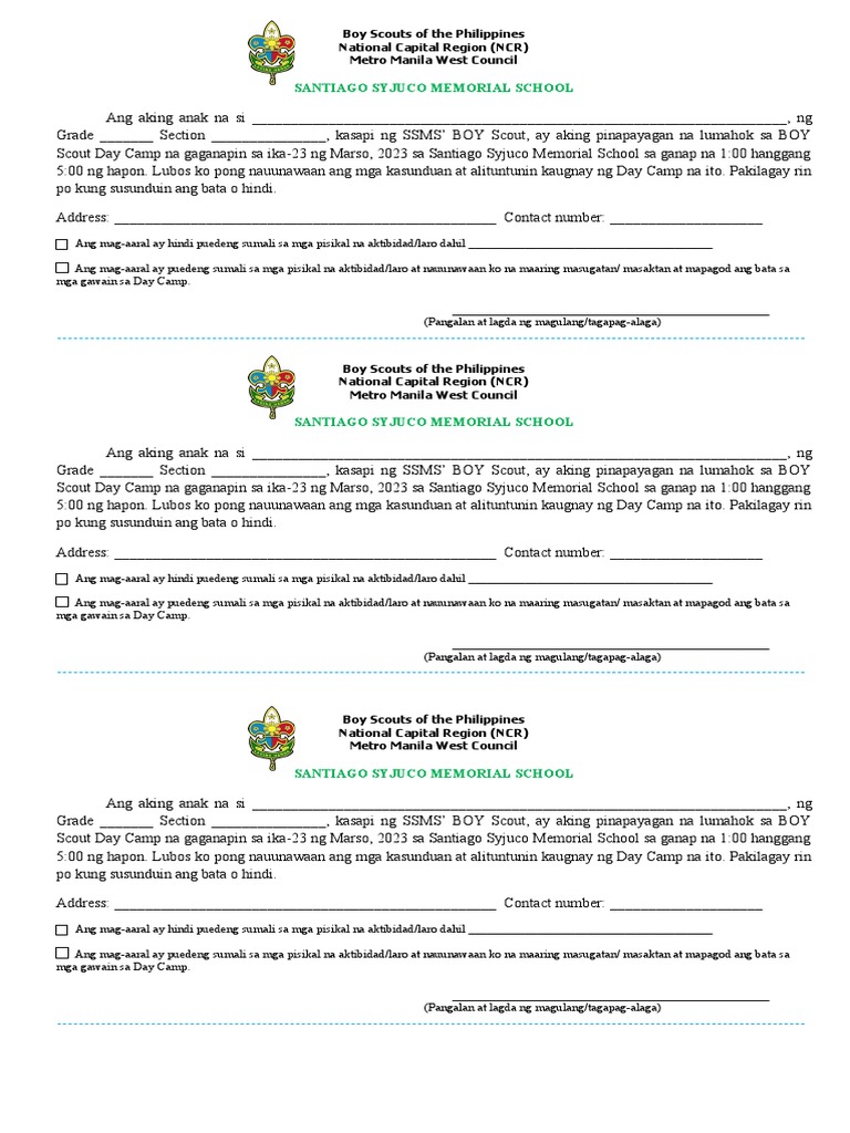 BSP Permit Final | PDF