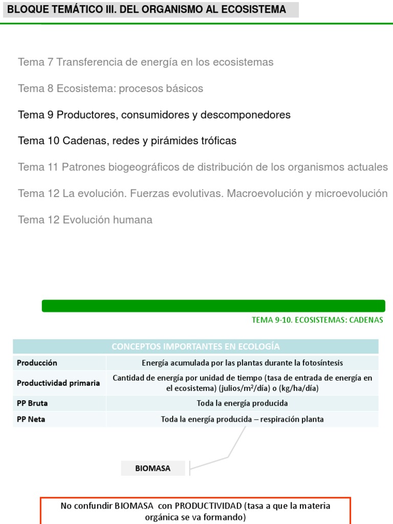 Tema 9-10 Cadenas | PDF | Red alimentaria | Biomasa (Ecología)