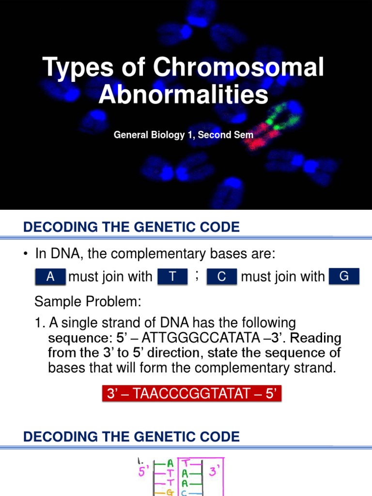 Genetic Coding PDF | PDF | Genetic Code | Genetics