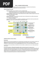 Funcion de Las Uniones GAP en La Union Interceluar | PDF | Biología ...