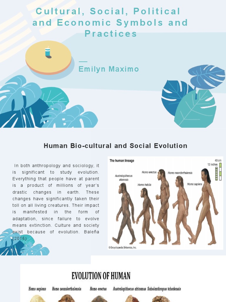 UCSP Human Evolution.pptx | PDF | Homo | Paleoanthropology