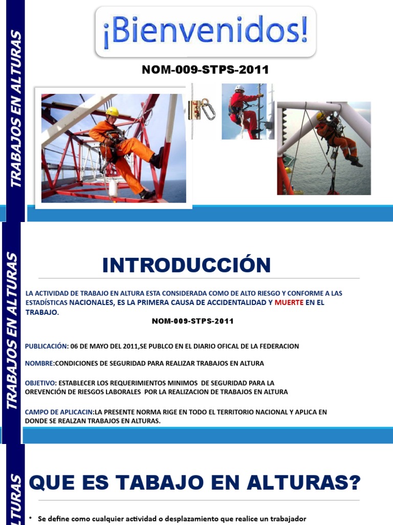 Armado de Andamios | PDF | Andamio | Tornillo