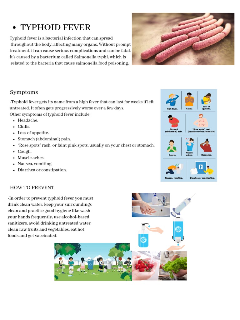 Typhoid PDF | PDF | Measles | Causes Of Death