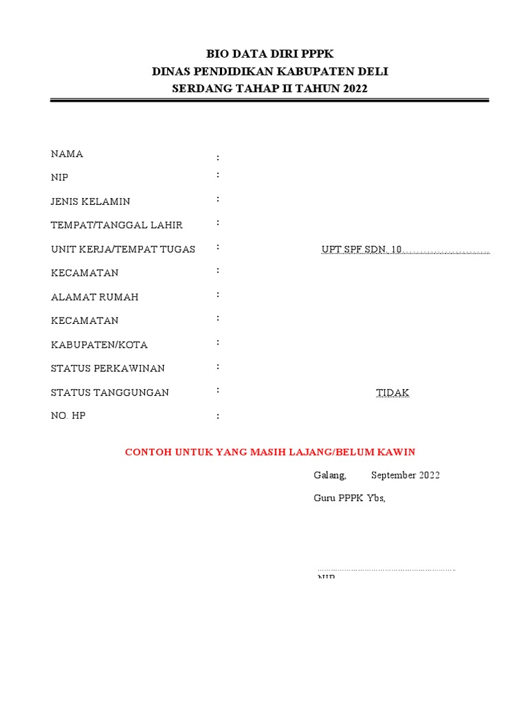 Contoh Pengisian Lembar Biodata P3K | PDF