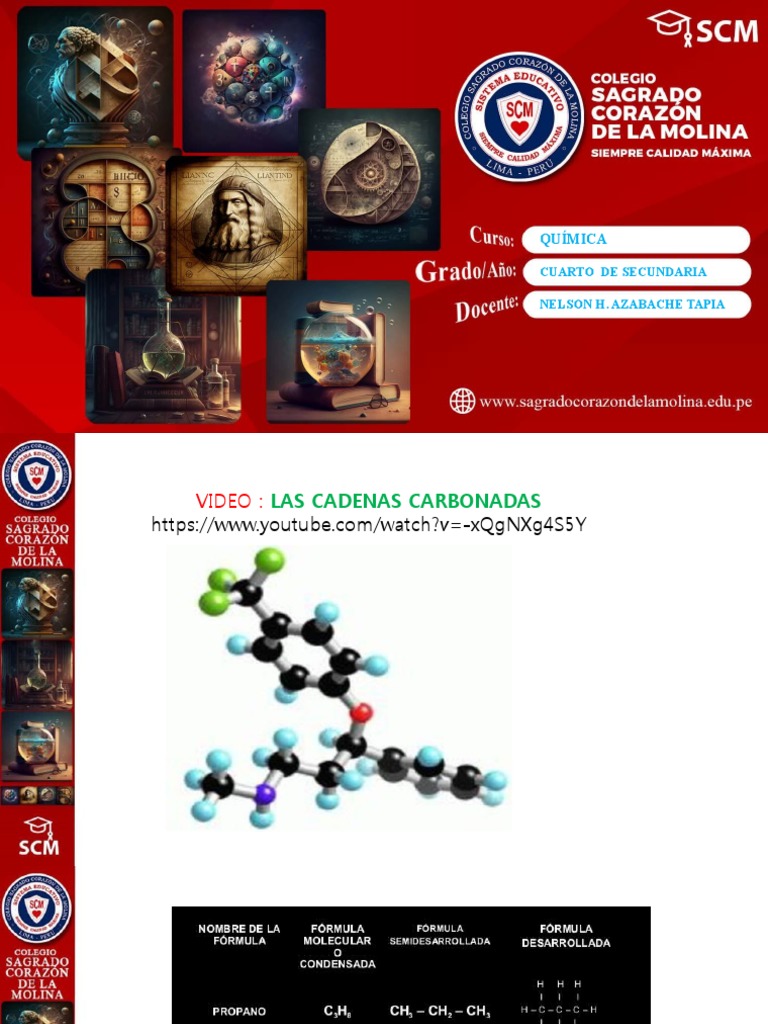 1.1 SCM 2023 - Las Cadenas Carbonadas - Tipos | PDF 1.1 SCM 2023 - Las Cadenas Carbonadas - Tipos | PDF