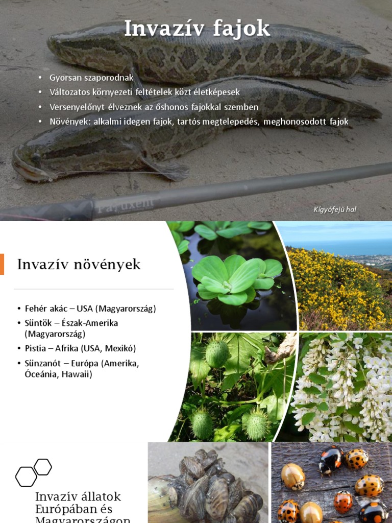 Invazív Fajok | PDF