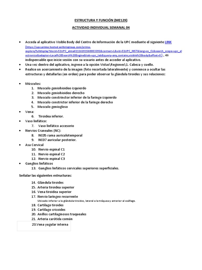 ME129 EyF TAREA Sem04 (1) Nuevo | PDF | Tiroides | Cabeza y cuello humanos
