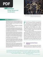 Using Bioedit | PDF | Sequence Alignment | Biotechnology