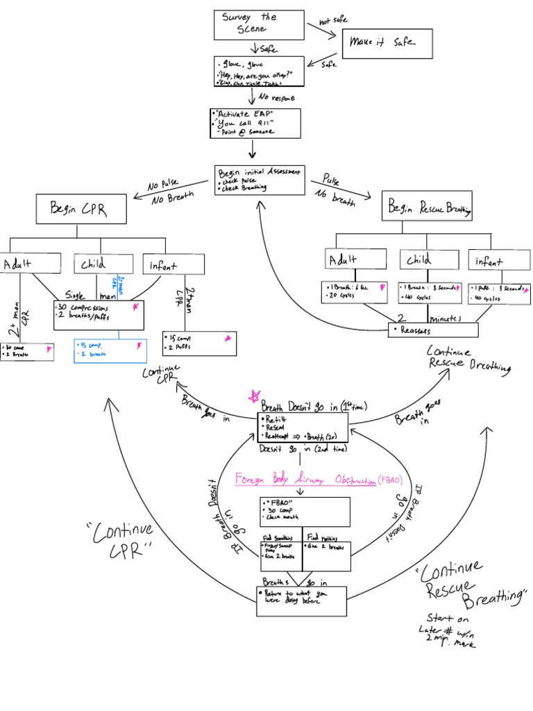 Cheat Sheet For CPR Steps | PDF | Physiology | Causes Of Death