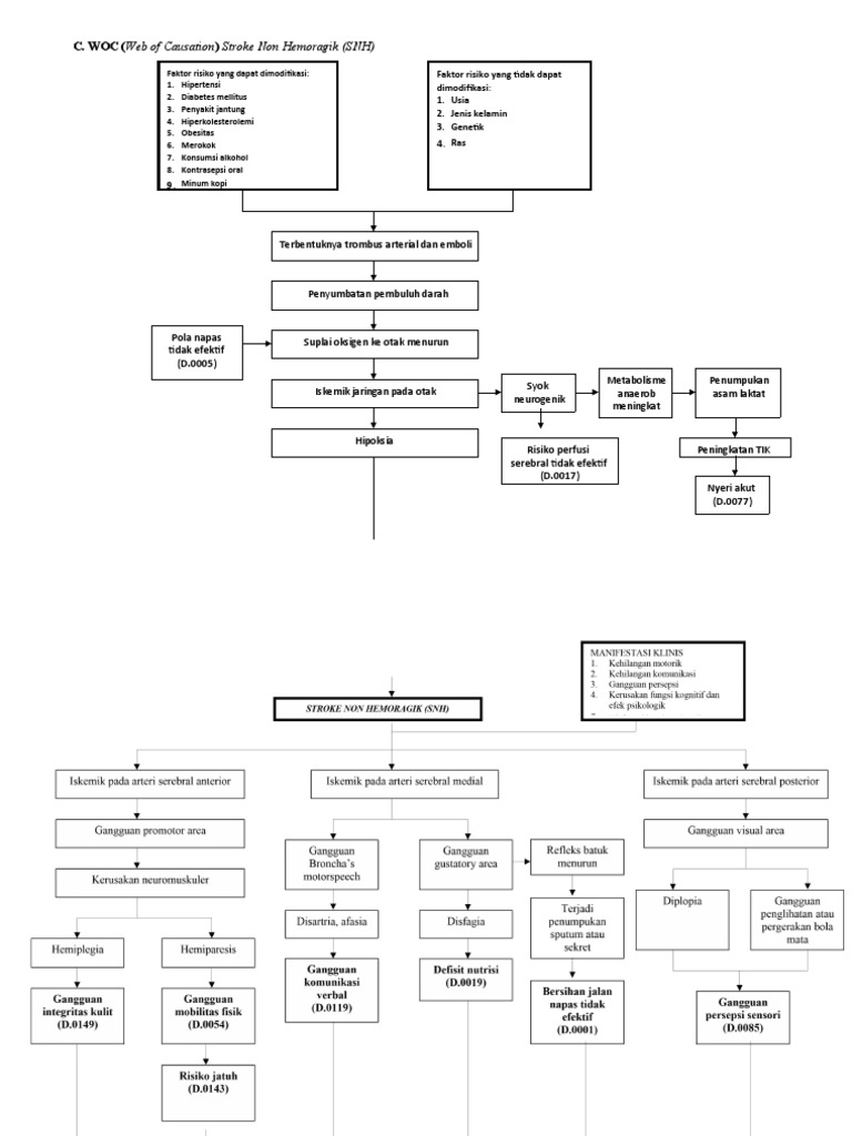 C. WOC (Web of Causation) Stroke Non Hemoragik (SNH) | PDF