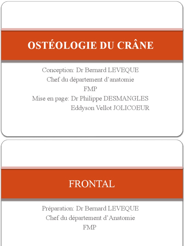 Anatomie de l'Os Frontal et Orbital | PDF | Anatomie | Appareil locomoteur