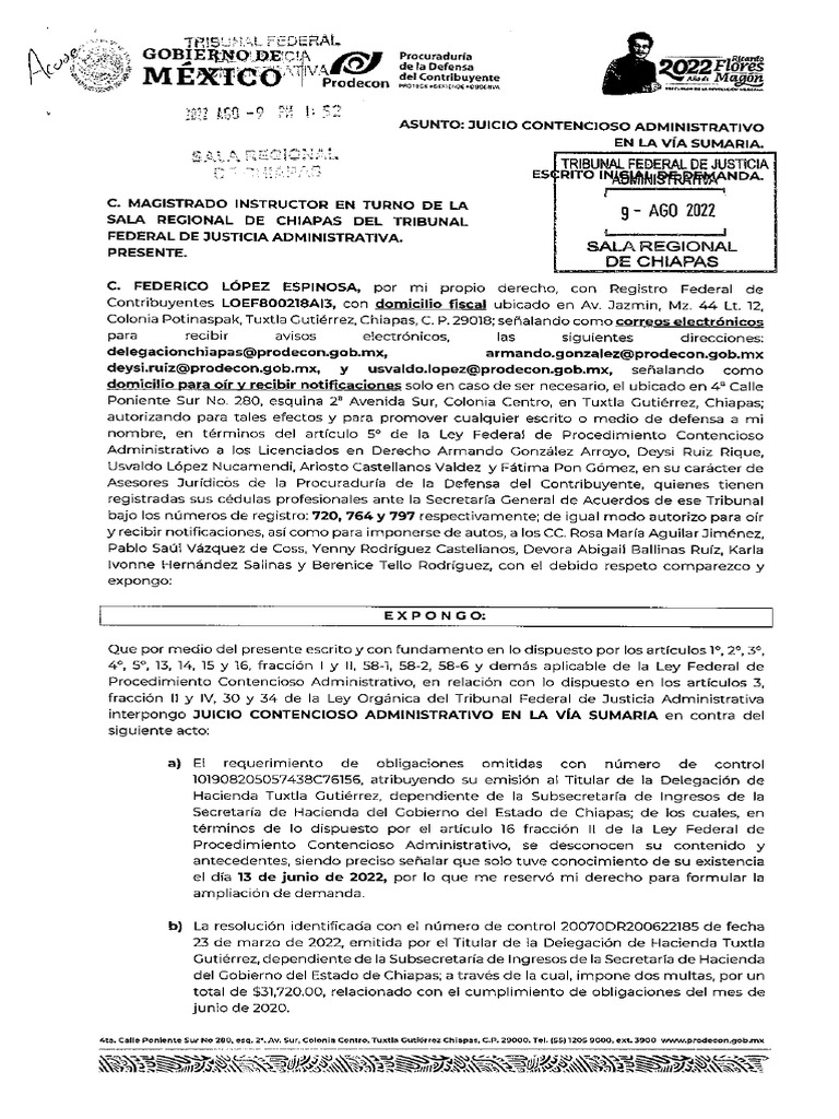 Acuse Presentación Demanda PDF | PDF