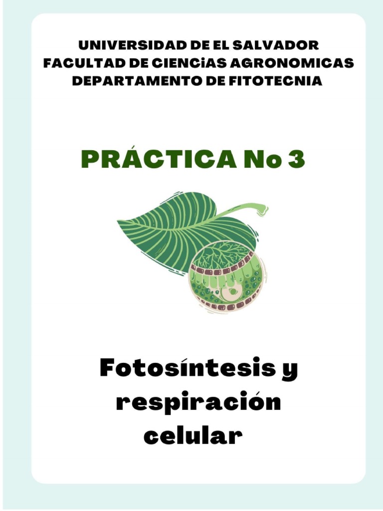 PRACTICA No. 3 BIG | PDF | Fotosíntesis | Química