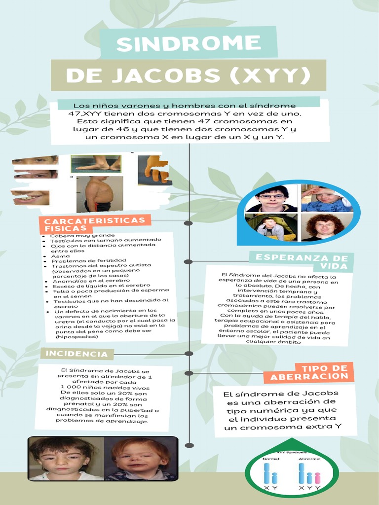 Cariotipo Del Síndrome De Jacobs Síndrome XYY