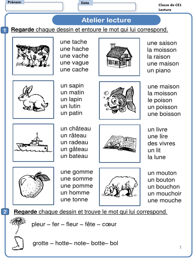 Fichier Comprehension de Lecture 1 PDF | PDF | Chats