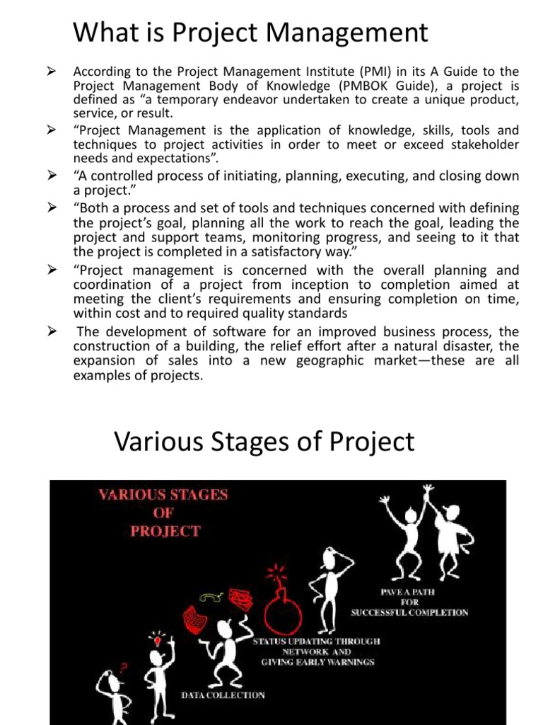 Unit 3 PDF | PDF | Project Management | Performance Appraisal