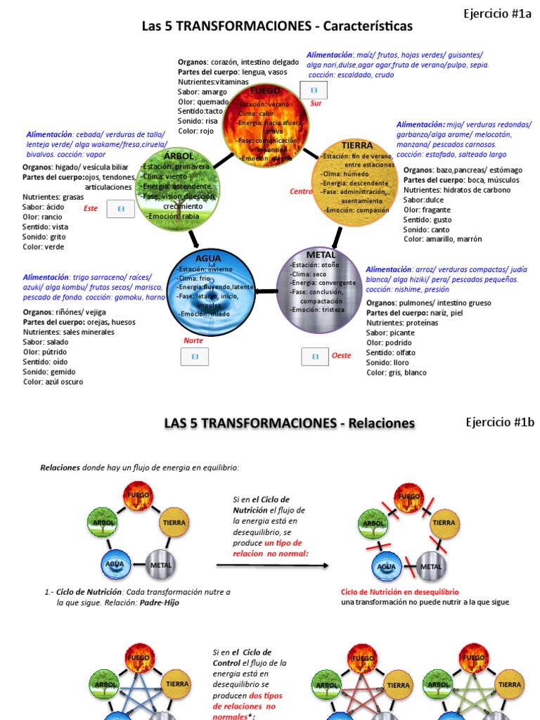 Las Cinco Transformaciones PDF | PDF | Vegetales | Cocinando