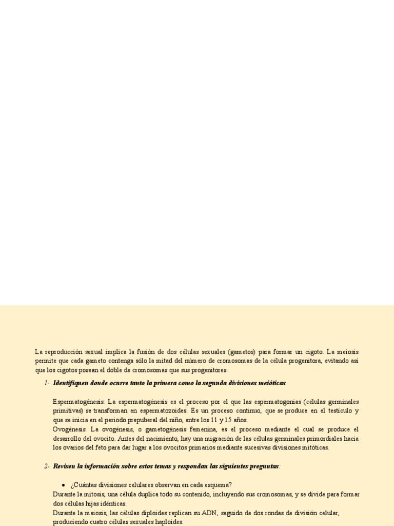 PDFC BIOLOGIA Act13 | PDF | Mitosis | Células