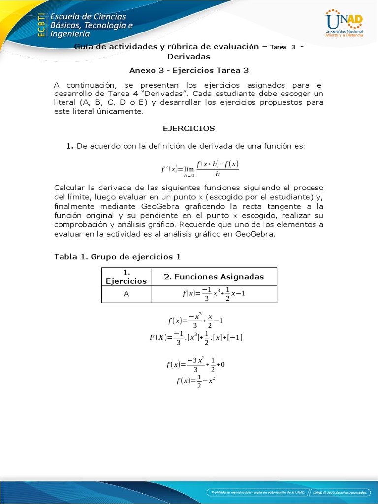 Anexo 3 - Ejercicio Tarea 3 | PDF | Derivado | Física Matemática